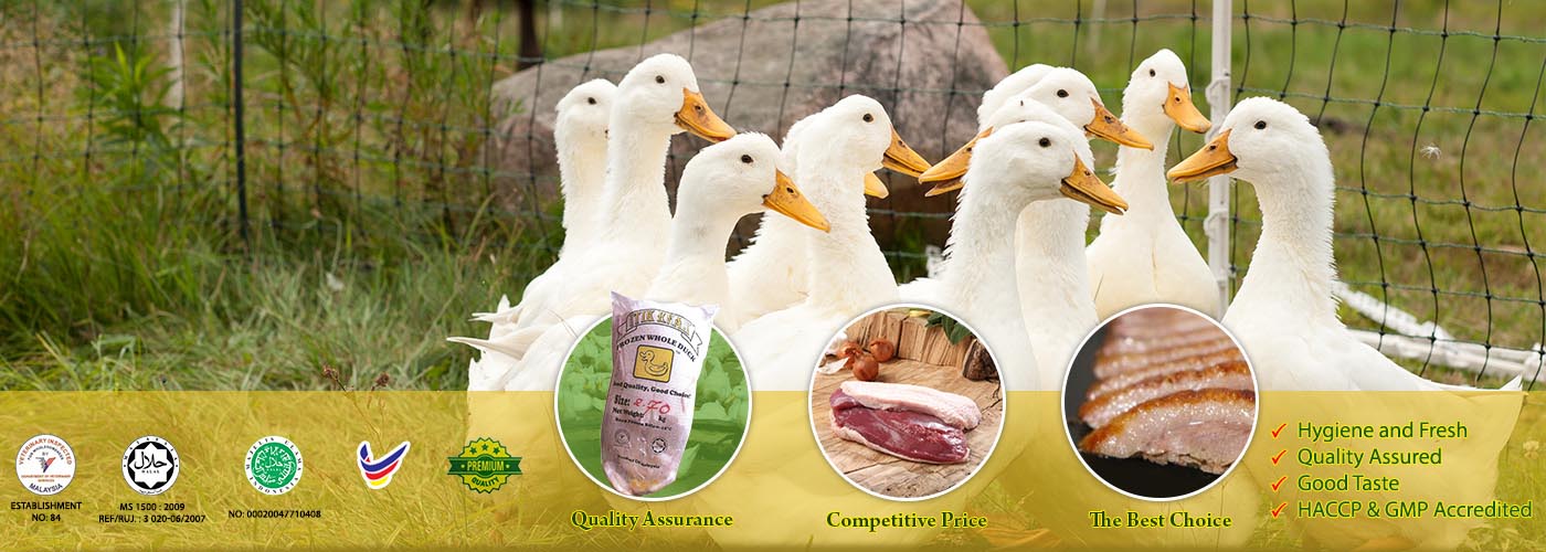 Frozen Duck Supplier Penang, Duck Products Supply Pulau Pinang, Whole ...